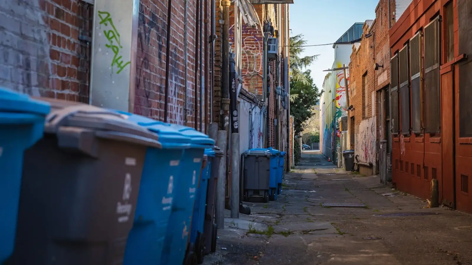 Efficient Waste Solutions: Guide to Dumpster Rentals