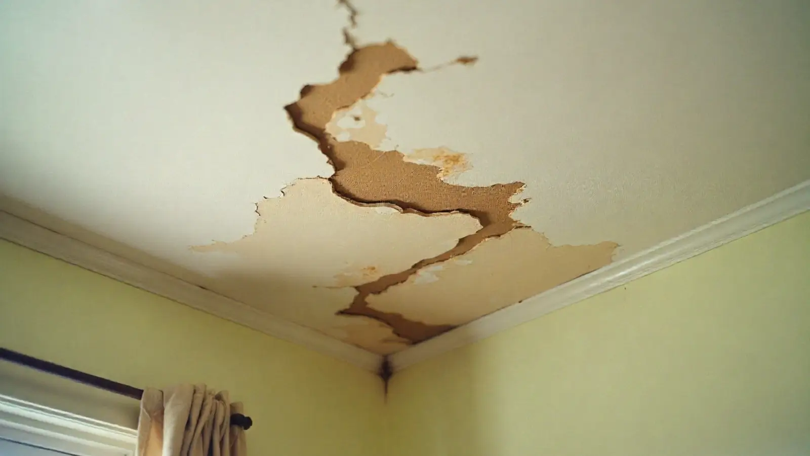 Water Damage Restoration Near Me for Ceiling and Wall Leaks